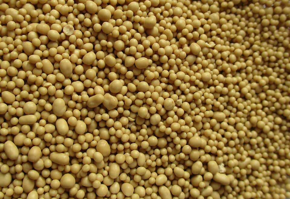 Pivski kvasac – Eliksir mladosti i zdravlja